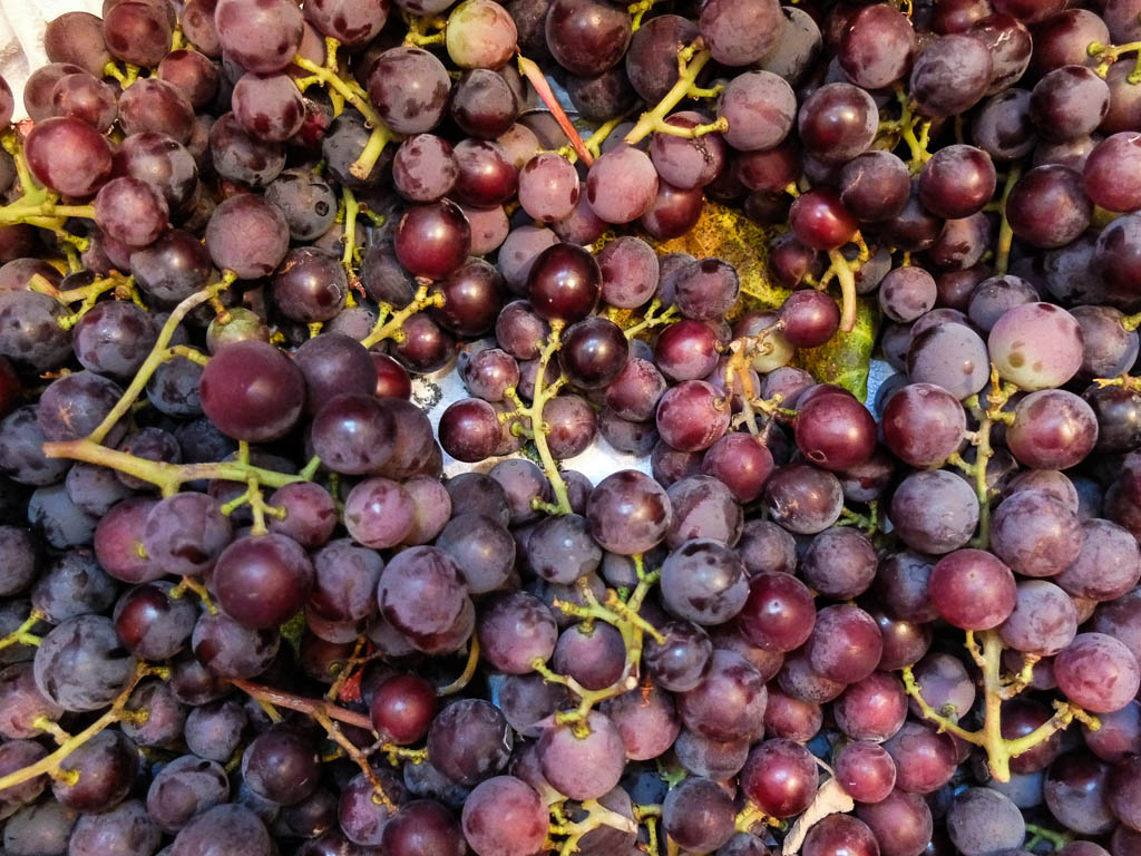 Gourmet-Rohkost nach instinktiver Art – Rohkost- und Tourentagebuch