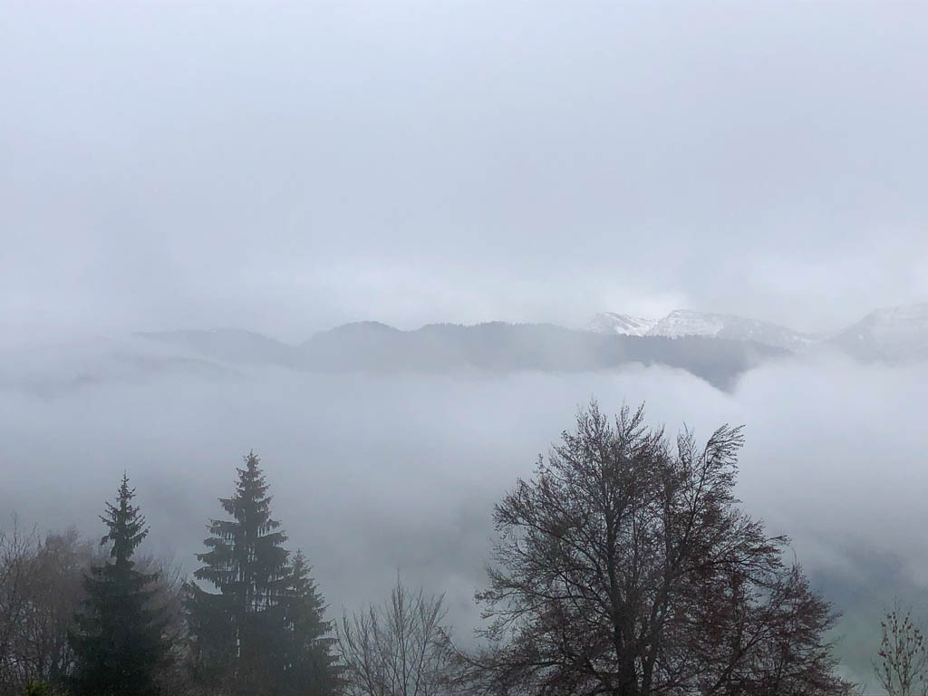 Es ist weiterhin trüb und regnerisch – Rohkost- und Tourentagebuch
