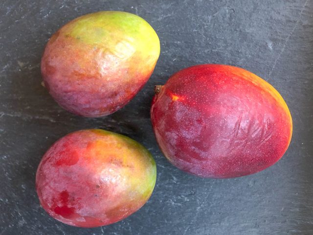Mango „Sensation“ – Rohkost- und Tourentagebuch