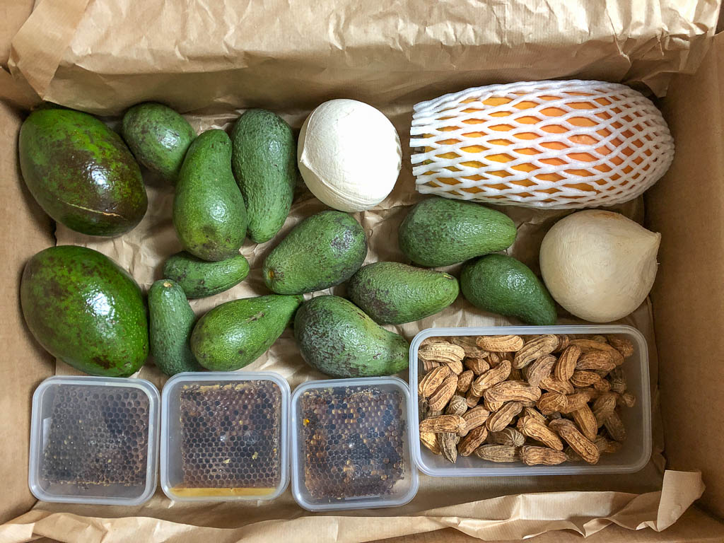 Eine Lieferung von Jurassic Fruit – Rohkost- und Tourentagebuch