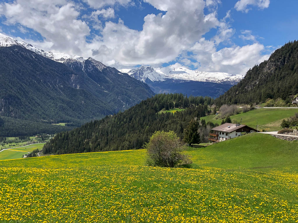 Ein Spaziergang über die Wiesen von Schmitten – Rohkost- und Tourentagebuch