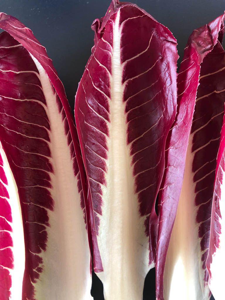 Cicorino Trevisano – Rohkost- und Tourentagebuch